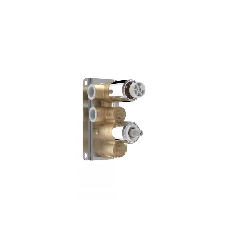 Saneux Thermostatic valve body with 2 outlets & 2 holes - Brass