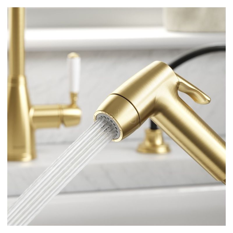 Clearwater Traditional Pull-out spray Brushed Bronze